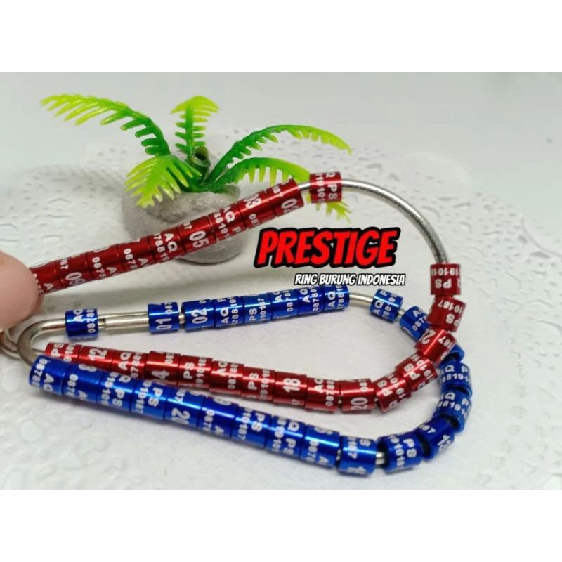 Jual RING KENARI MURAI PERKUTUT PUTER MERPATI MODEL LASER BISA REKUES ...