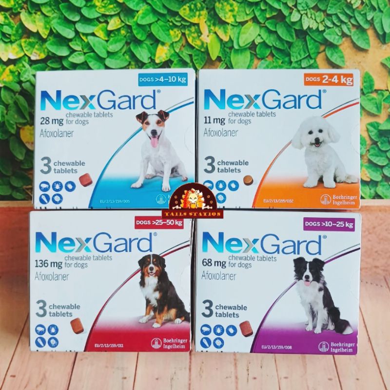 Jual Nexgard Obat Kutu Anjing Demodex Scabies Chewable Tablet Harga 1 Butir | Shopee Indonesia