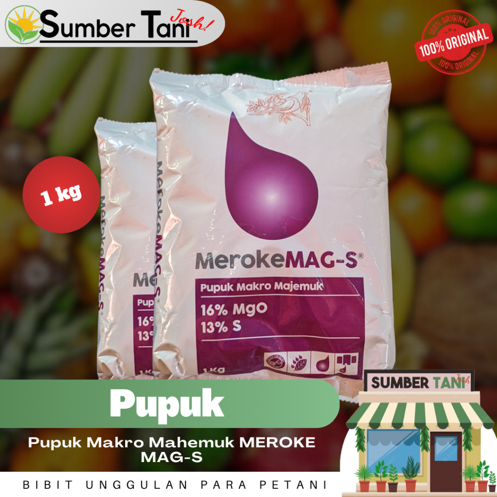 Jual PUPUK MEROKE MAG-S KEMASAN 1 KG ORIGINAL PABRIK MAG S MAGNESIUM ...