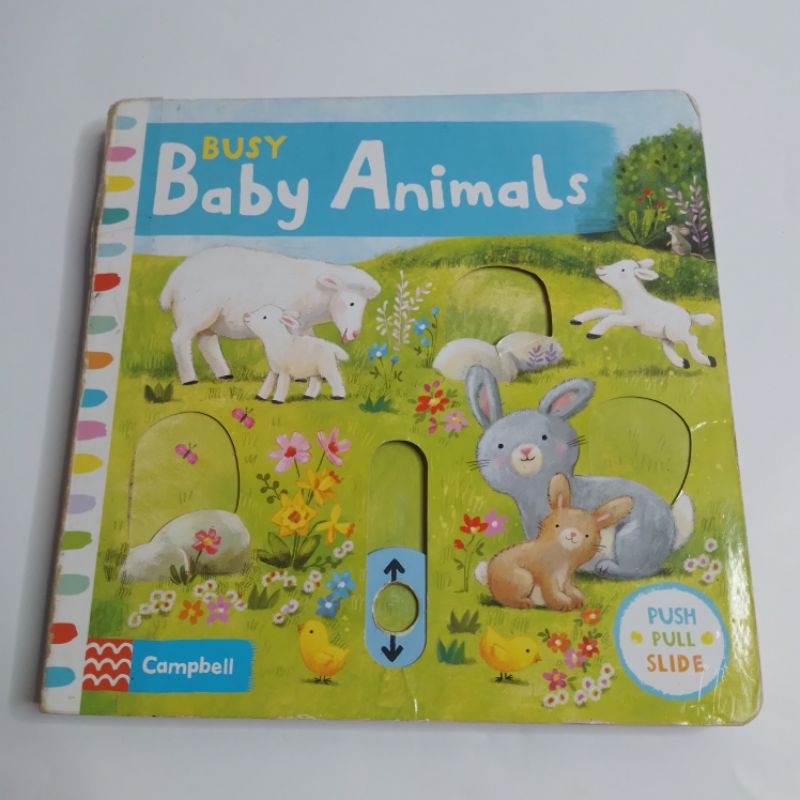 Jual Board Book Campbell Busy Baby Animals Push Pull Slide | Shopee ...