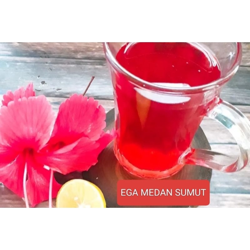 Jual Bunga Pucuk Kembang Sepatu (Bunganya saja per bunga) | Shopee ...