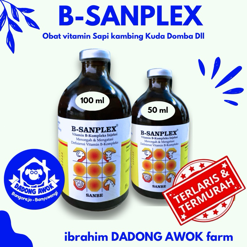 Jual B SANPLEX 100ml 50 ml - Vit B Kompleks vitamin Suplemen Daya Tahan ...