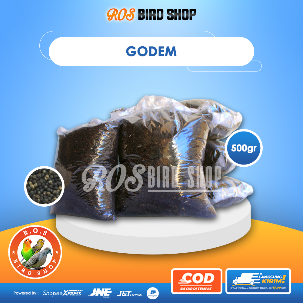 Jual 500gr Godem Pakan Burung PERKUTUT BERSIH Sudah Dicuci dan Ditampi ...