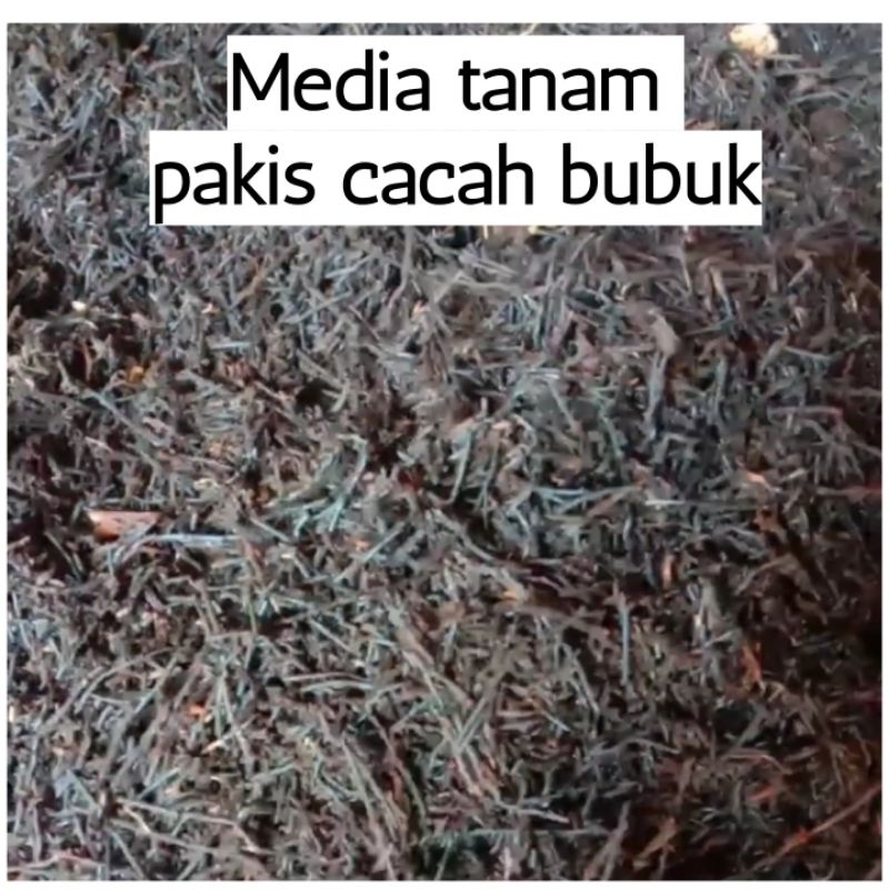 Jual media tanam pakis cacah bubuk 1 kg | Shopee Indonesia