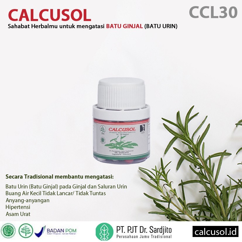 Jual CALCUSOL 30 SUPLEMEN HERBAL BATU GINJAL, ASAM URAT, HIPERTENSI ...