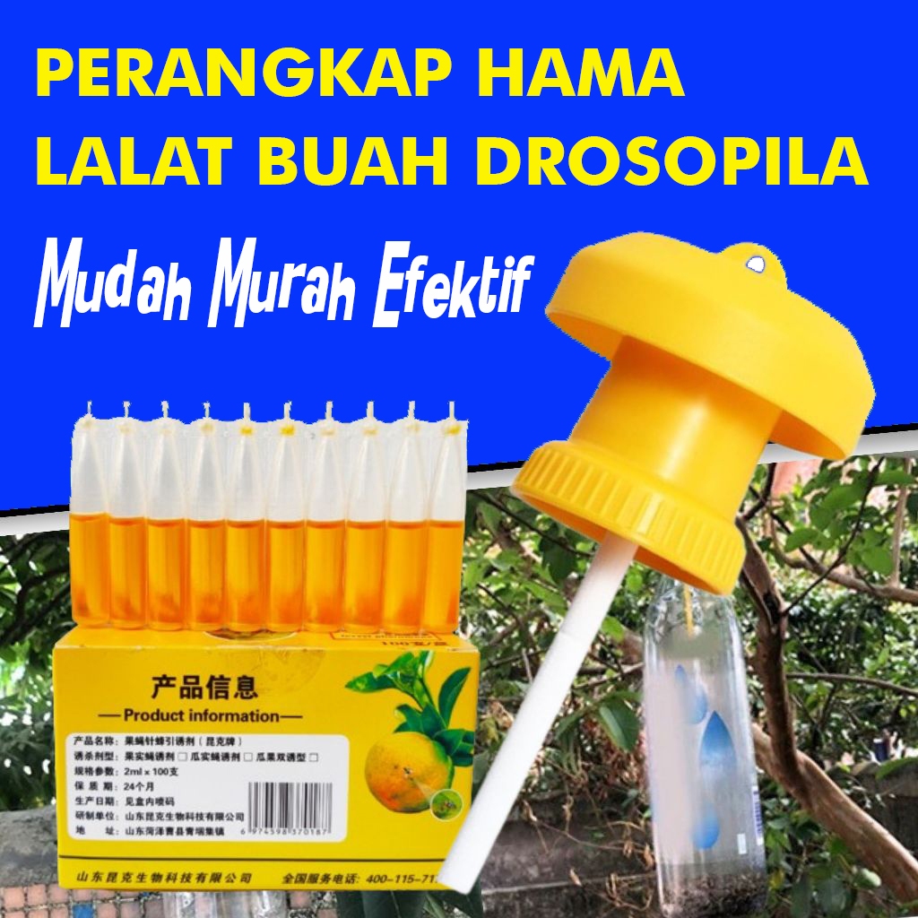Jual Perangkap Lalat Buah Drosophila Bahan Plastik Warna Kuning - Fruit ...