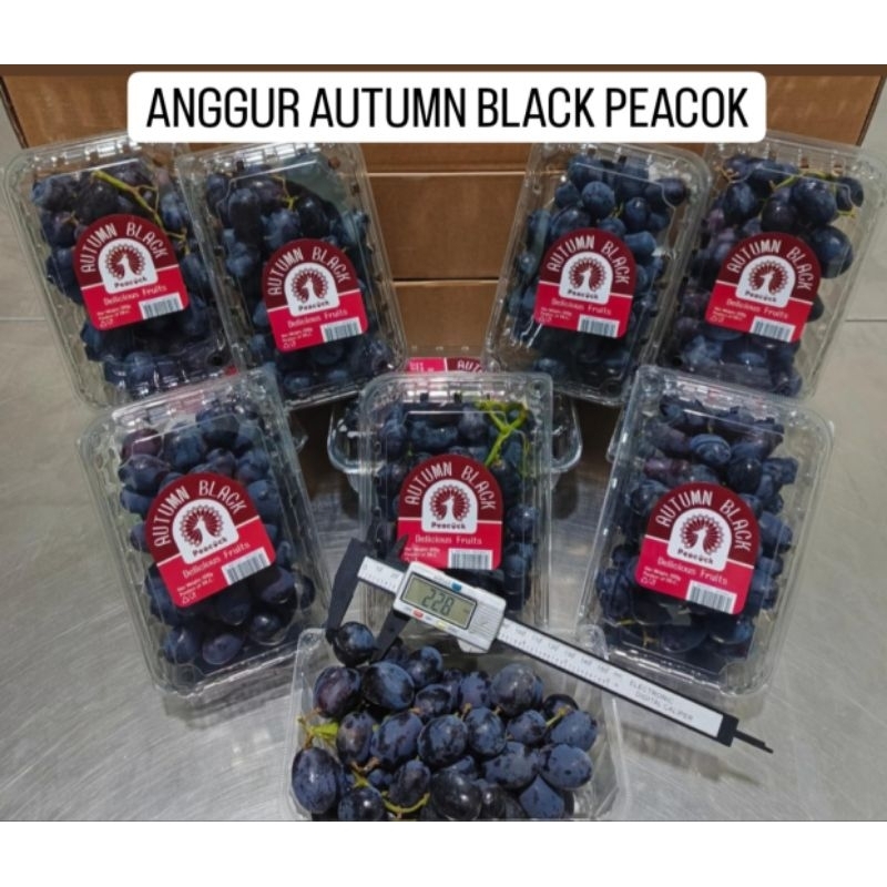 Jual ANGGUR AUTUMN BLACK PEACOK (BERAT 500 GR) | Shopee Indonesia