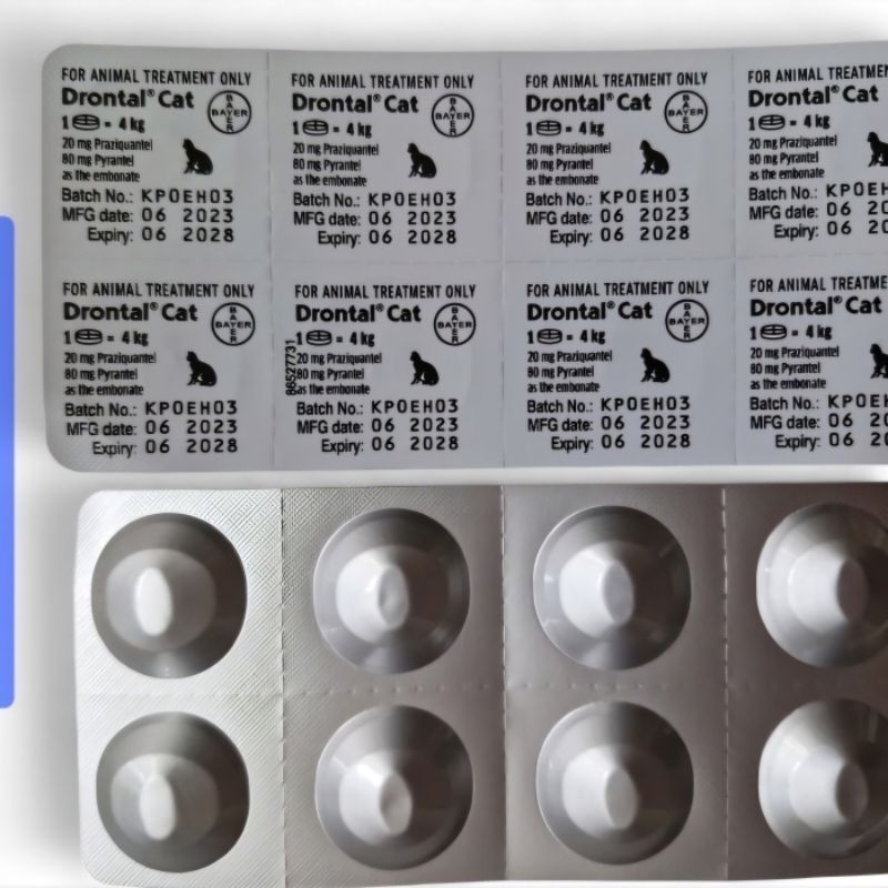 Jual Import DRONTAL CAT OBAT CACING KUCING PER STRIP 8 TABLET | Shopee ...