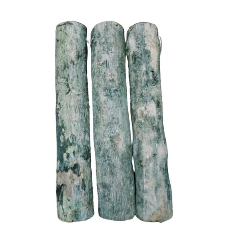 Jual batang kayu kopi buat media anggrek/30cm | Shopee Indonesia