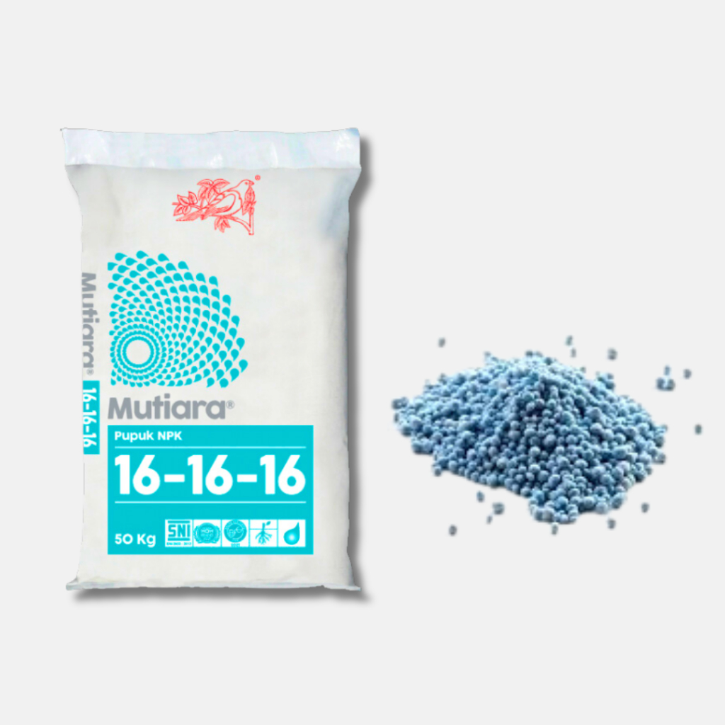 Jual Pupuk Npk 16 16 16 Per 100 Gram Pupuk Bunga Dan Buah Pupuk Npk