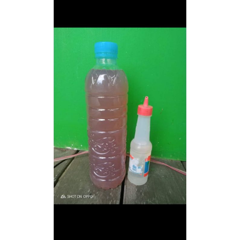 Jual Resin buat cetak molding softfrog atau resin kapal | Shopee Indonesia