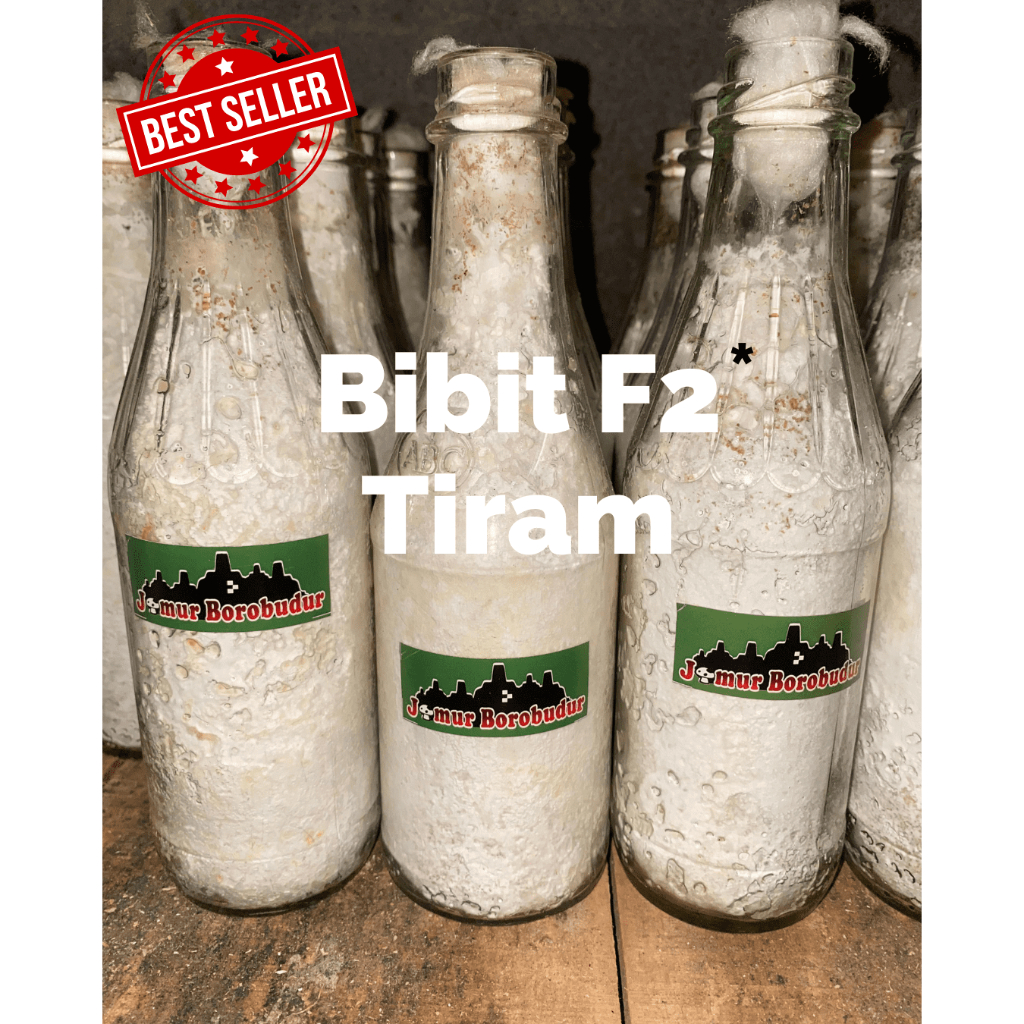 Jual Bibit F2 Jamur Tiram Botol/Plastik | Shopee Indonesia