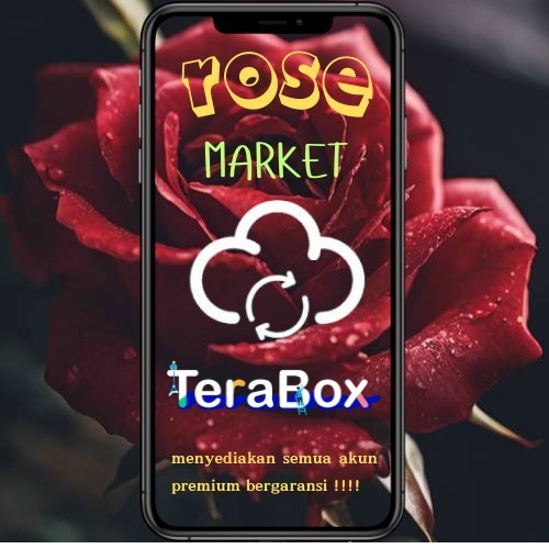 Jual TERABOX PREMIUM 1 TAHUN FULL GARANSI | Shopee Indonesia
