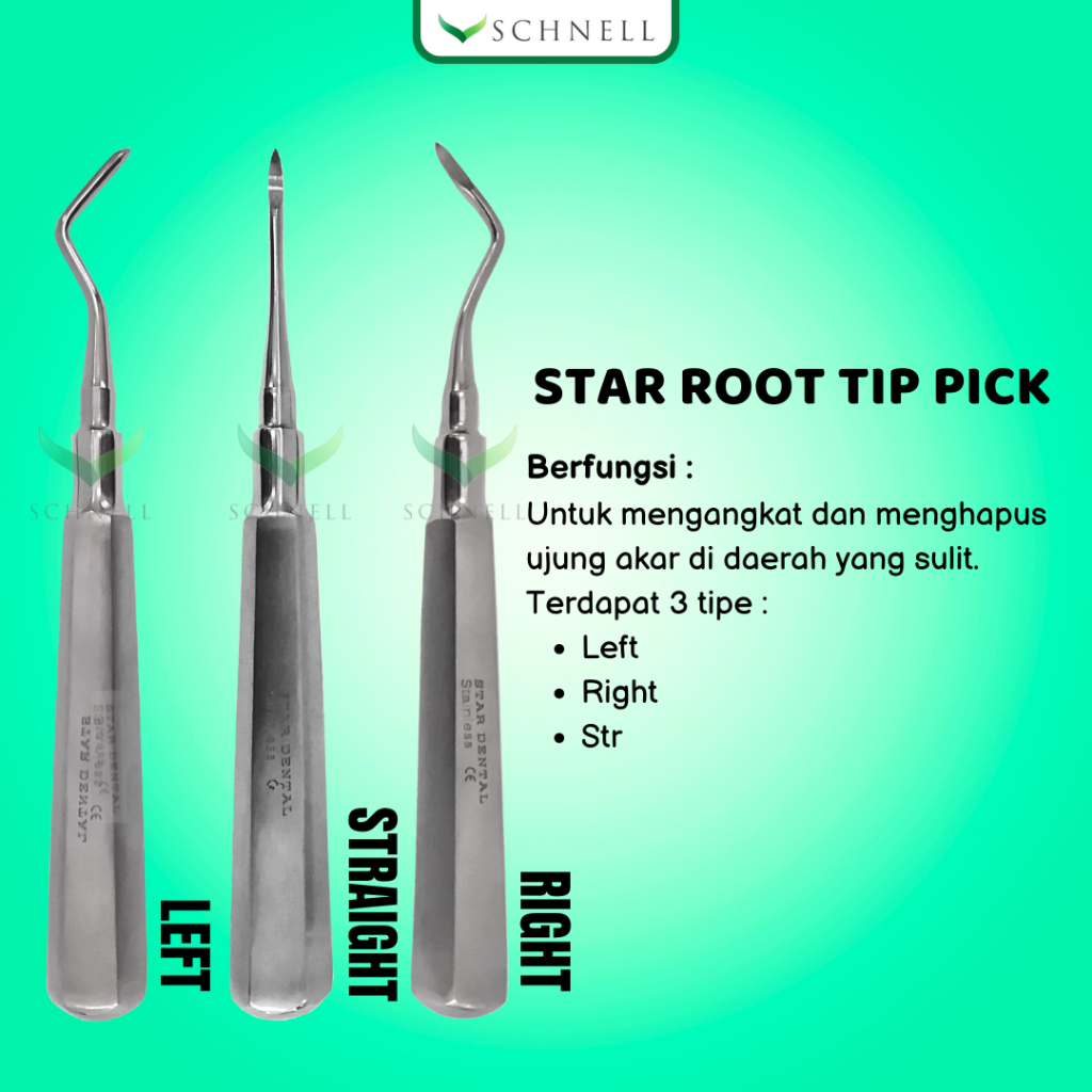 Jual STAR Root Tip Pick Bein - Dental Instruments | Shopee Indonesia
