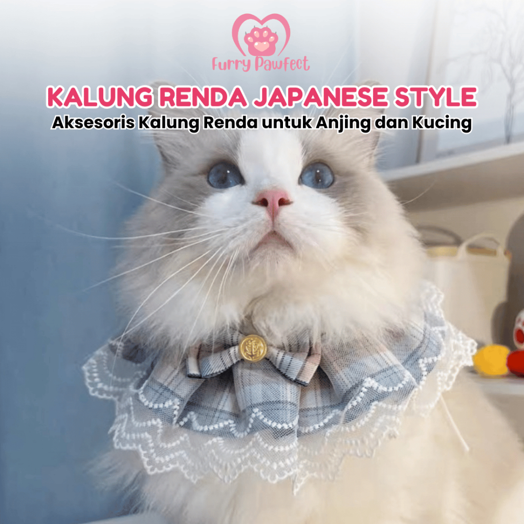 Jual Kalung Renda Kucing Anjing - Aksesoris Kalung Collar Bib Lace ...