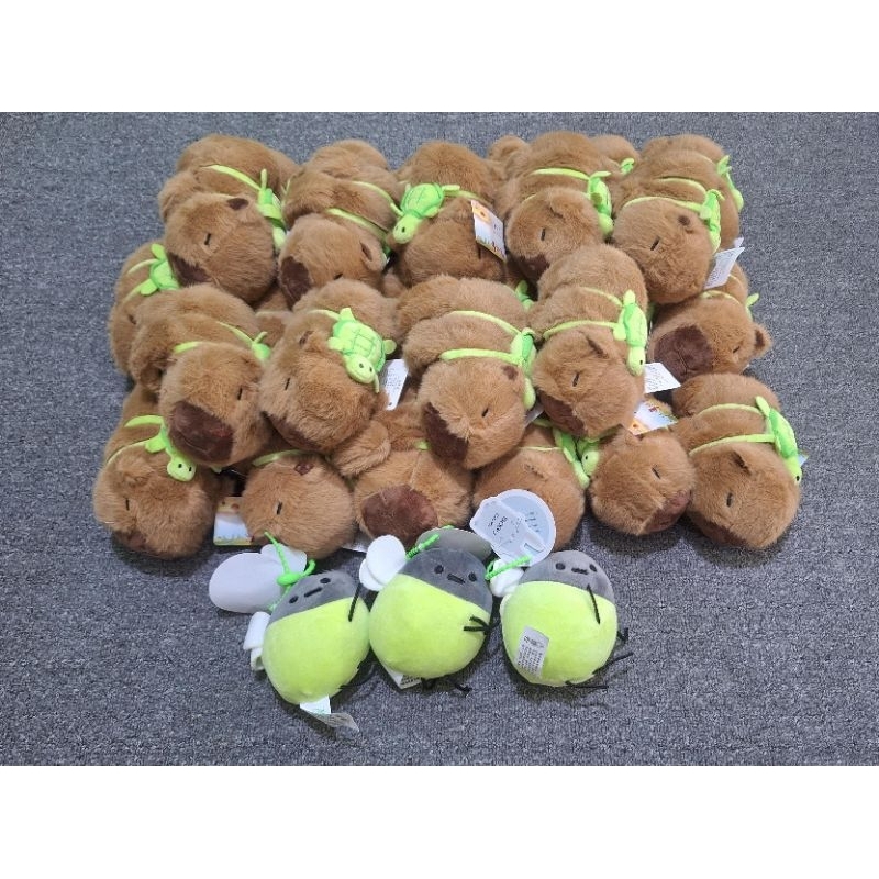 Jual {READY STOCK} DOLL CAPYBARA MAXWELL DOLL KUNANG KUNANG DOYOUNG ...