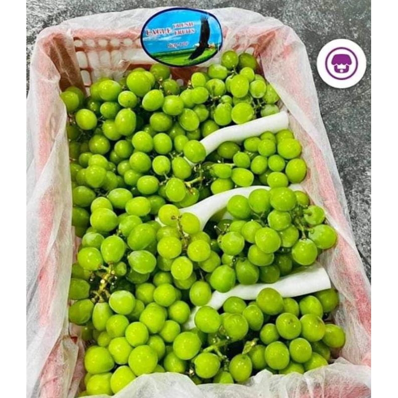 Jual anggur hijau 1 kg | Shopee Indonesia