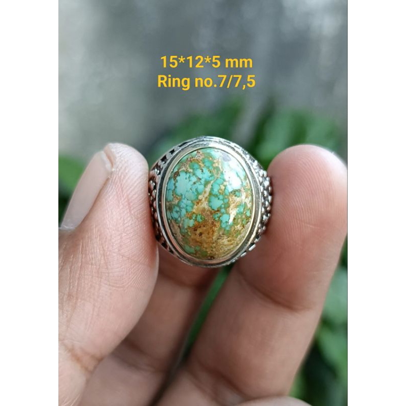 Jual Pirus Persia | Shopee Indonesia