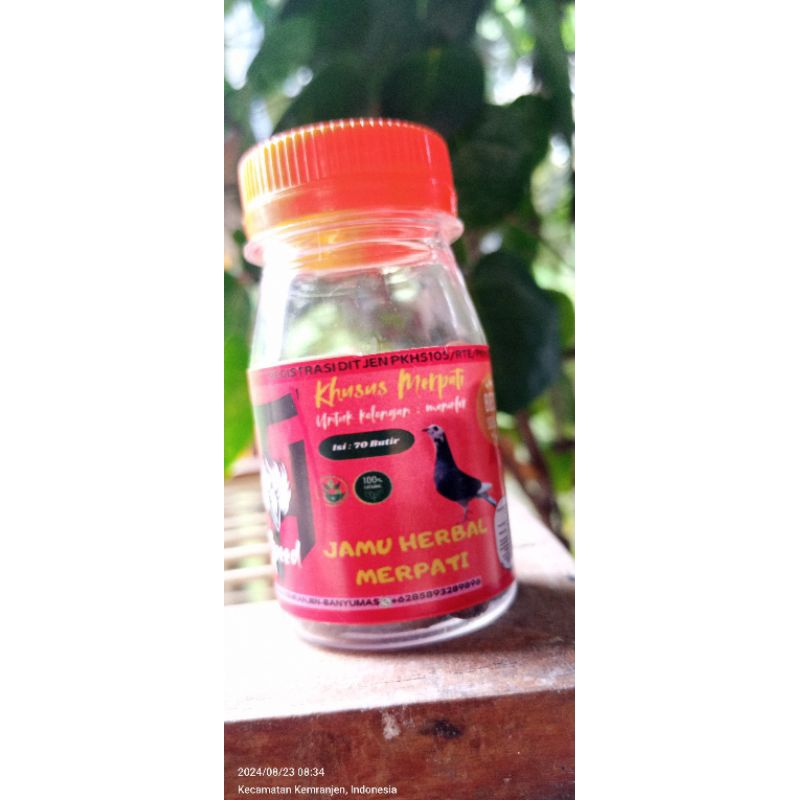 Jual JAMU HERBAL KHUSUS MERPATI KOLONGAN ISI 70 BUTIR | Shopee Indonesia