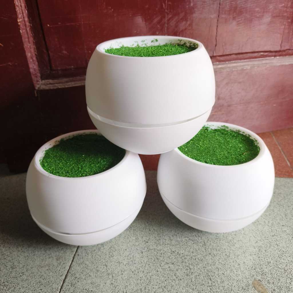 Jual Pot Bunga Bola Vienna Green Leaf 676 Isi Busa dan Lumut/Vas Bunga ...