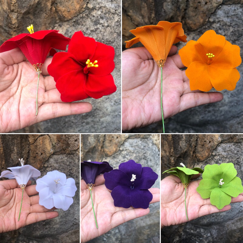 Jual PUCUK MERAH UDENG/ PUCUK ARJUNA / PUCUK BELUDRU | Shopee Indonesia