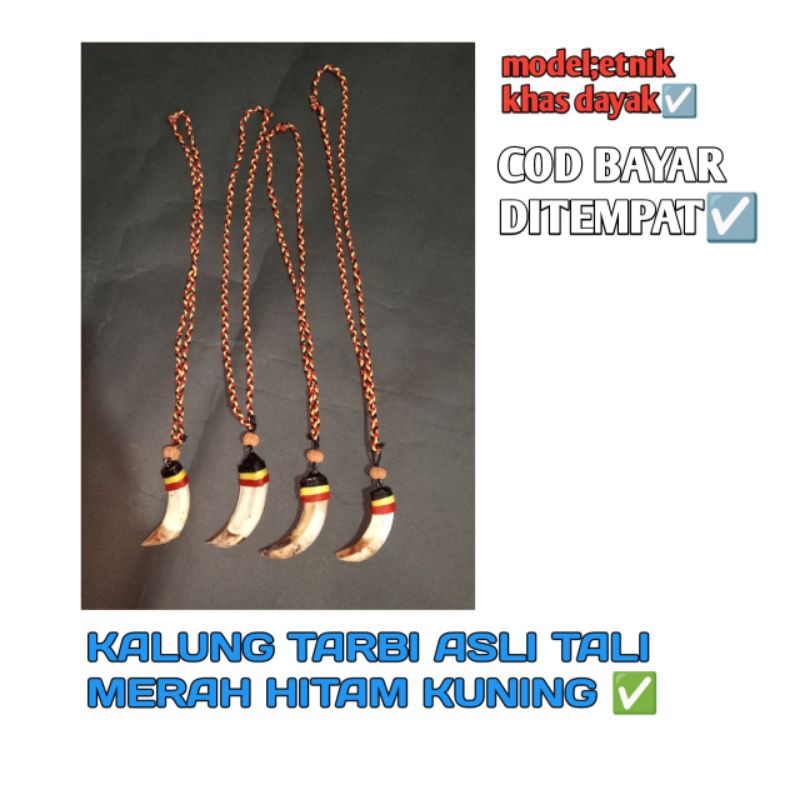 Jual kalung tarbi asli kalimantan | Shopee Indonesia