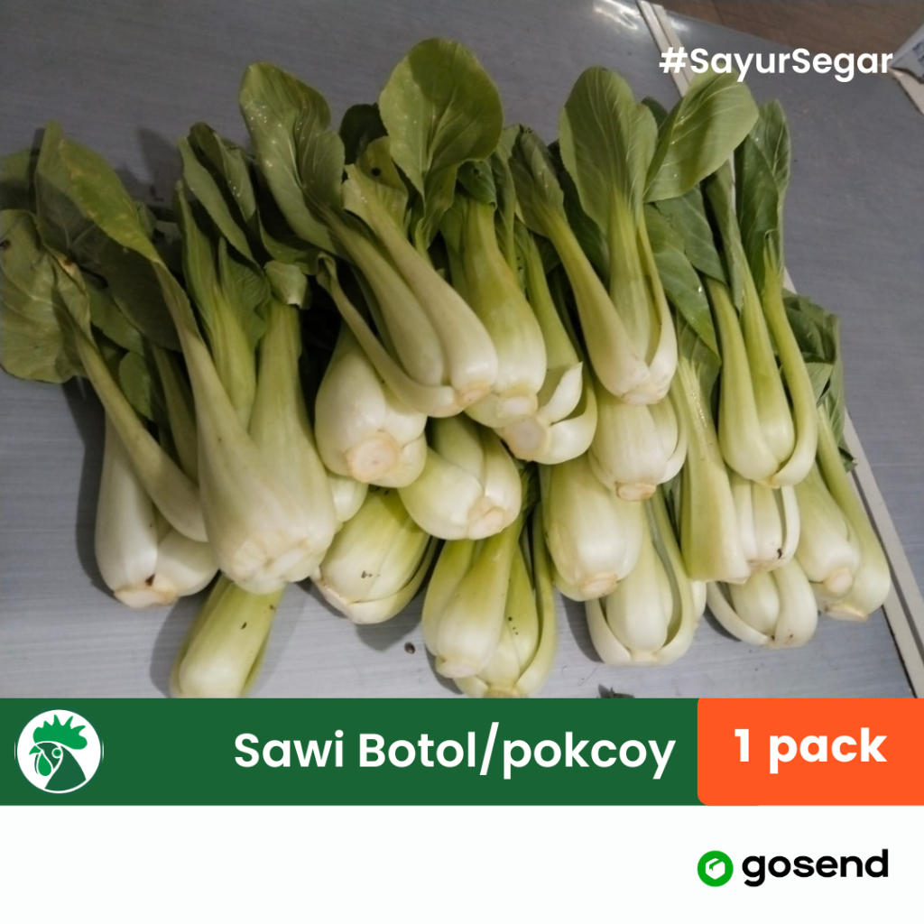Jual Sawi Botol Sawi Pakcoy Pokcoy 500gr-600gr | Shopee Indonesia