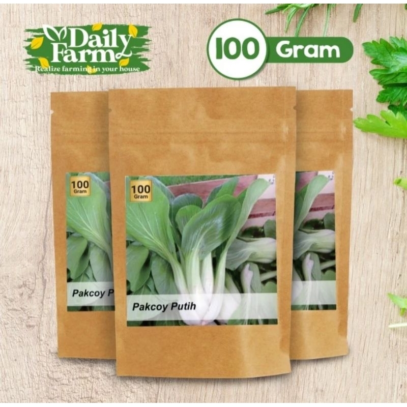 Jual Benih Sayur PakCoy Pak Coy Putih - Sawi Sendok Putih ( 100 Grm ...