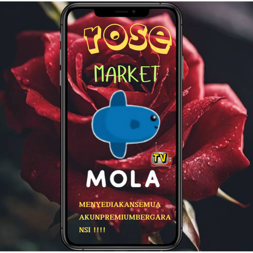 Jual MOLA TV PREMIUM 1 TAHUN PROSES CEPAT | Shopee Indonesia