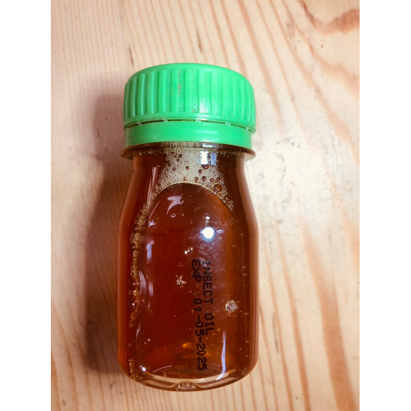 Jual Minyak maggot BSF / Insect Oil 1 Liter / 1 kg | Shopee Indonesia