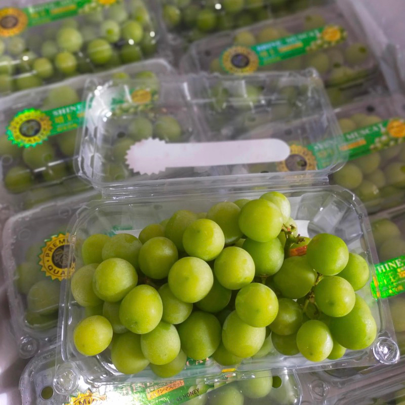 Jual Anggur Hijau Shine Muscat tanpa biji Fresh Bogor 500gr PROMO ...