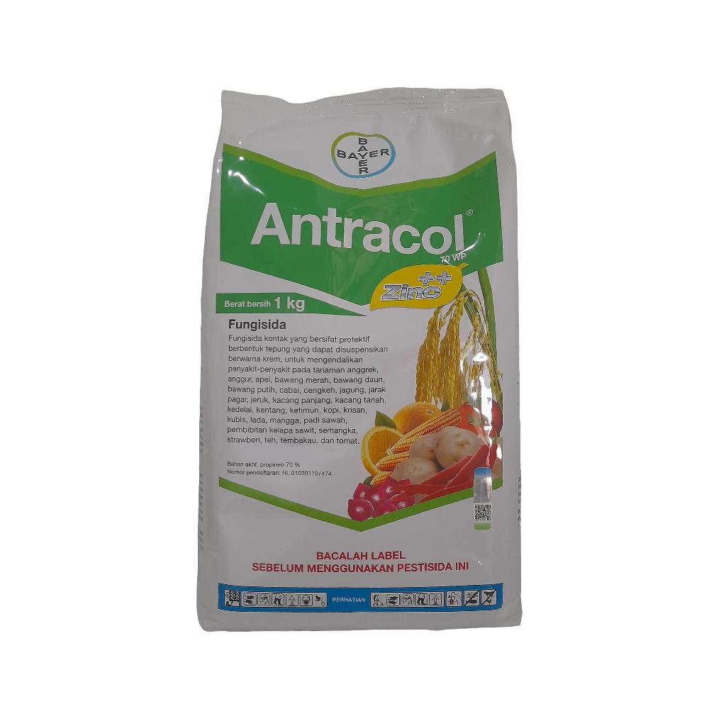 Jual Fungisida ANTRACOL 70WP Kemasan 1Kg Bahan Aktif Propineb 70% (Obat ...