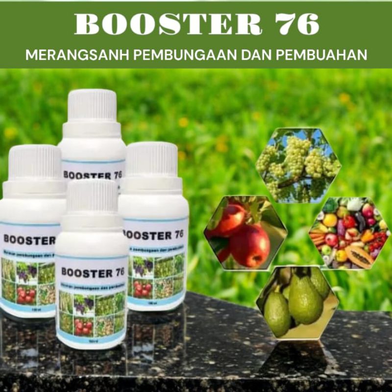 Jual PUPUK BOOSTER 76 250ML penyubur pelebat buah pembesar pelebat buah | Shopee Indonesia