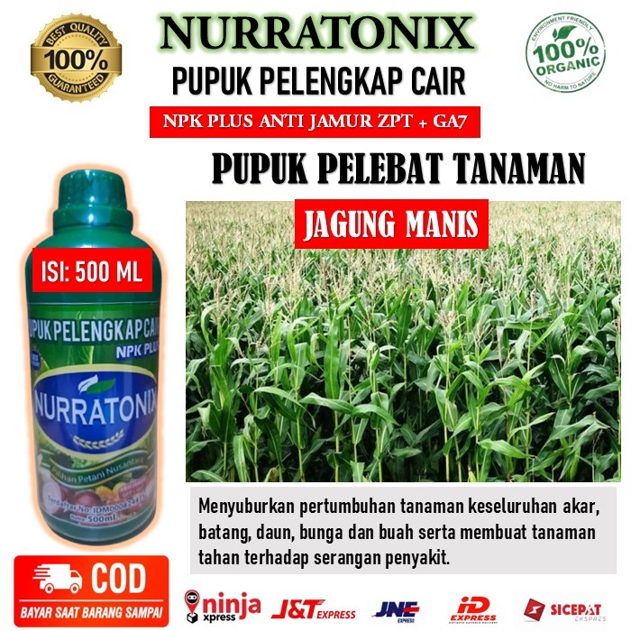 Jual Pupuk Jagung terbaik - NURRATONIX PUPUK PELENGKAP CAIR NPK PLUS ANTI JAMUR ZPT + GA7 obat ...