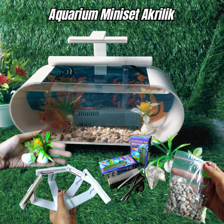 Jual Aquarium Mini Full set Dengan Pompa Dan Filter Aquarium Akrilik ...