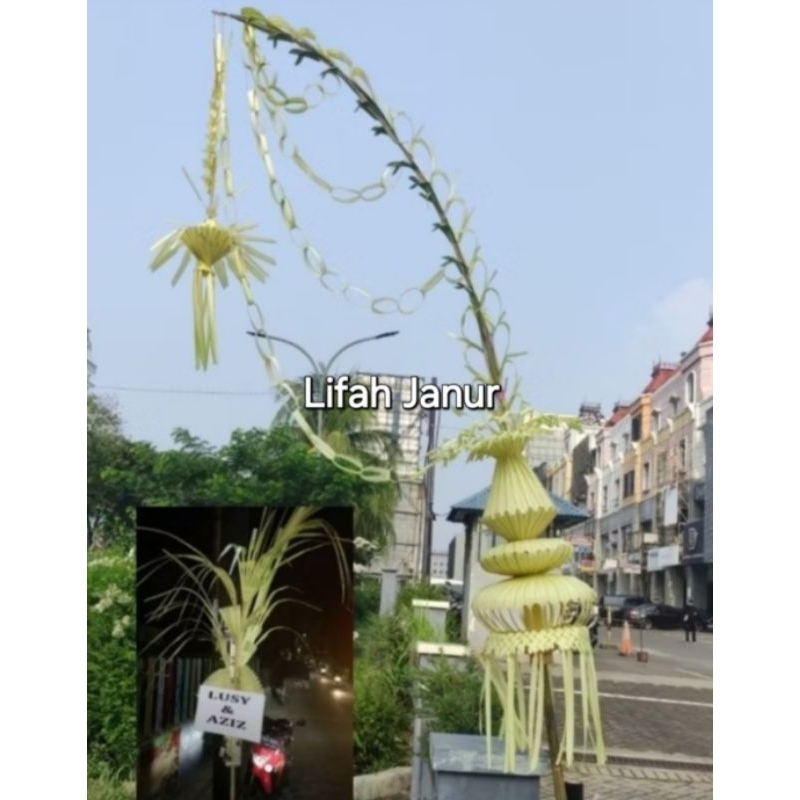 Jual Janur Nikahan/Janur Kuning/ Janur Besar Fres Premium | Shopee ...