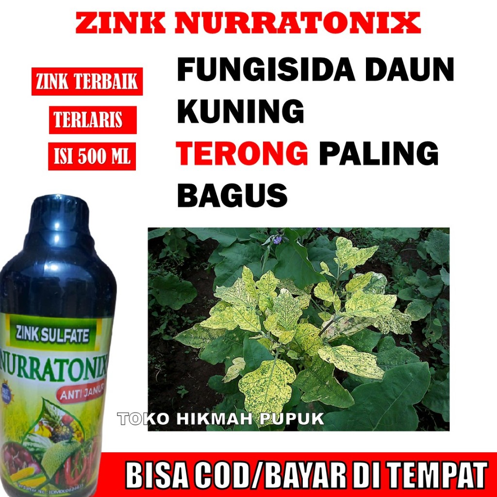 Jual TERLARIS OBAT PATEK ATASI SERANGAN PENYAKIT DAUN KUNING PADA ...