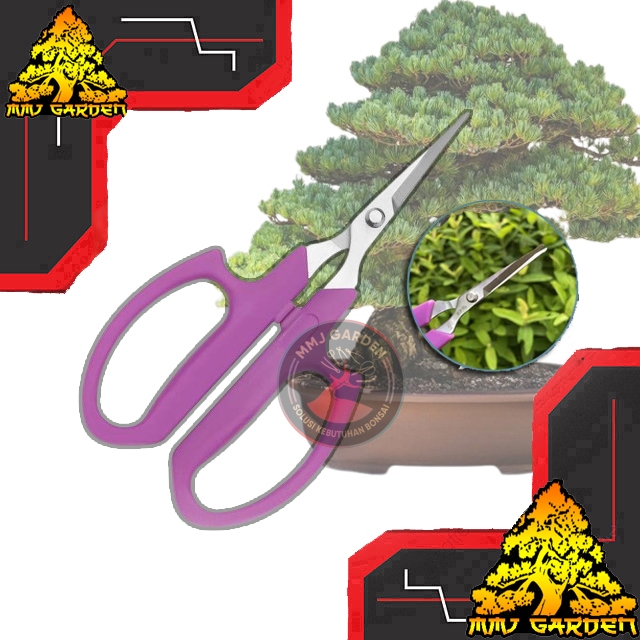 Jual MMJ GARDEN-ALAT BONSAI GUNTING RANTING BATANG DAN DAUN STAENLESS ...