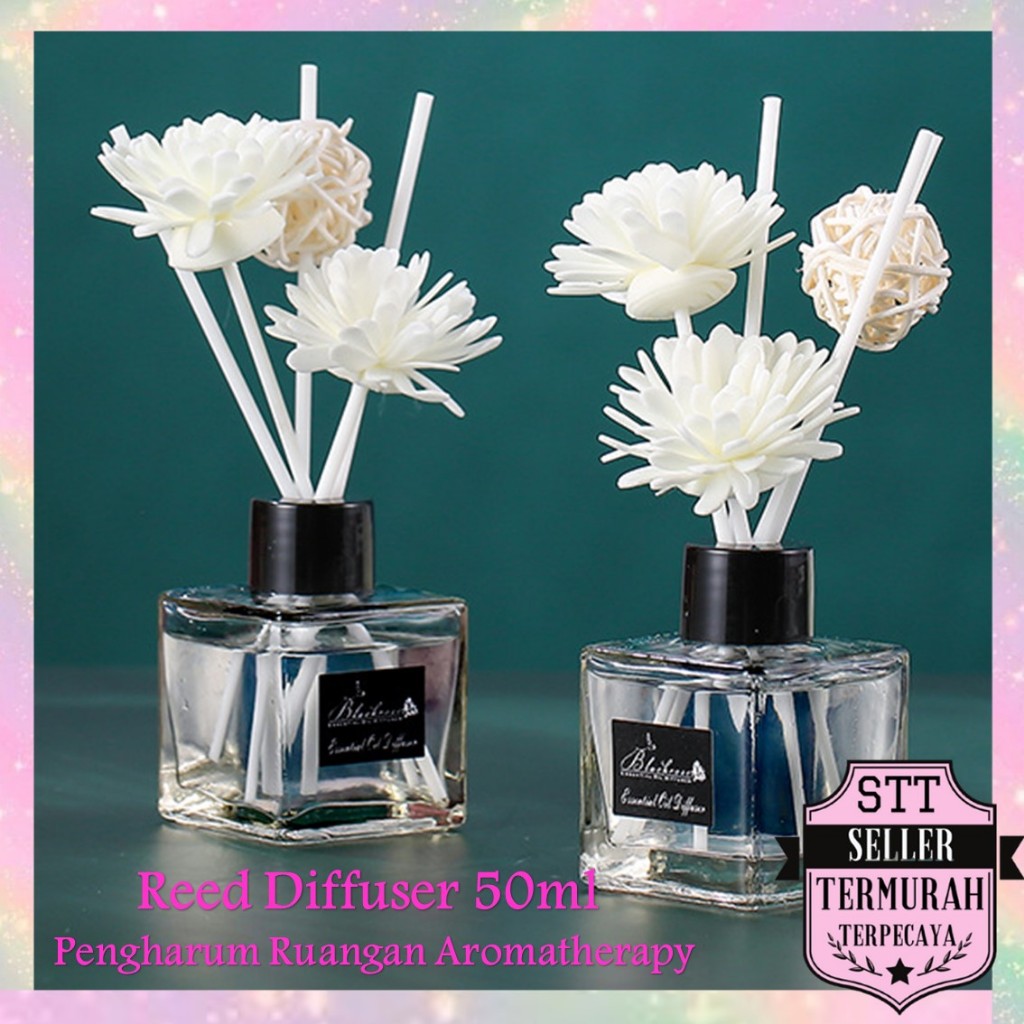 Jual STT Reed Diffuser 50ml Pengharum Ruangan Aesthetic Aromatherapy ...