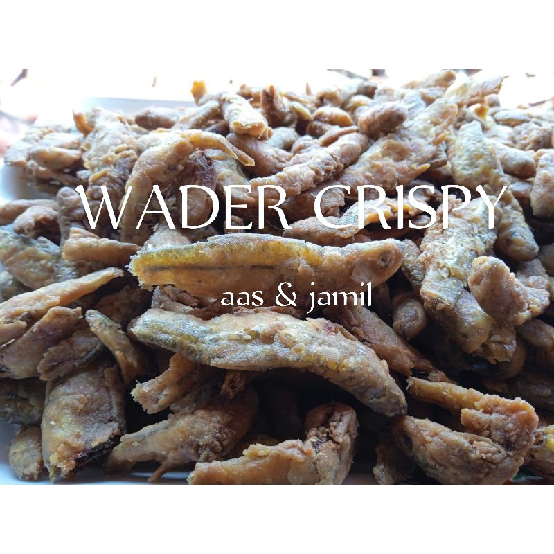 Jual WADER CRISPY 500gr dan ikan petek Crispy baby fish 500gr | Shopee ...