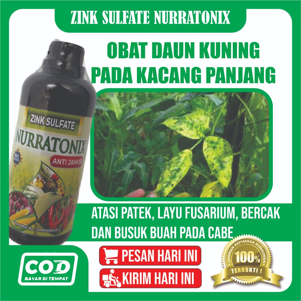 Jual (REKOMENDED) ZNSO ZINK SULFATE Obat Penyakit Daun Kuning Pada ...