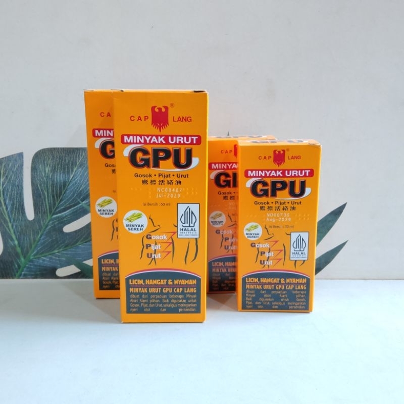 Jual Minyak urut GPU 60ml / GPU 60ml / Minyak urut / GPU 30ml | Shopee ...