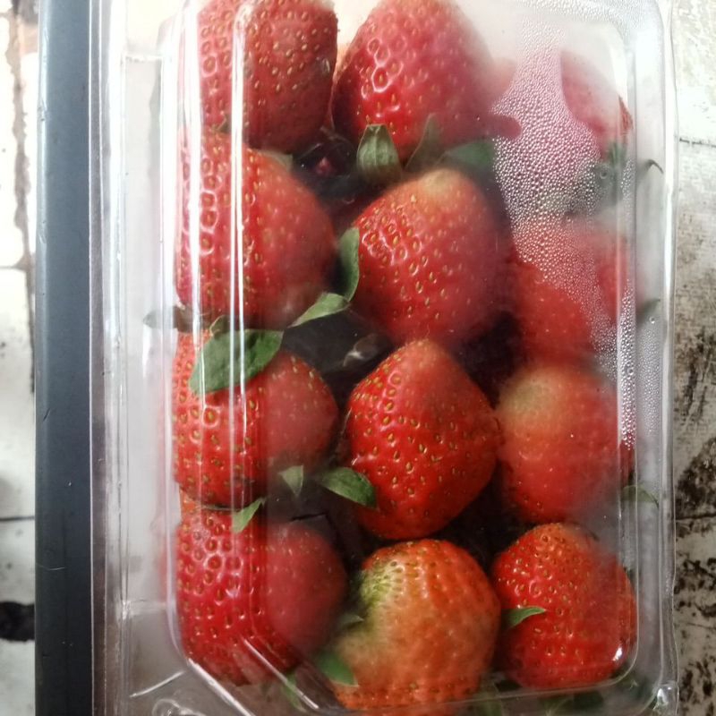 Jual buah strawberry 250g | Shopee Indonesia