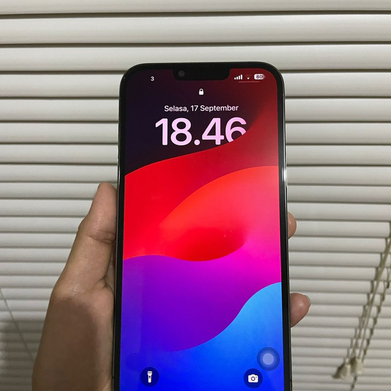 Jual Iphone 13 Pro Max 256 Gb Ex Inter | Shopee Indonesia