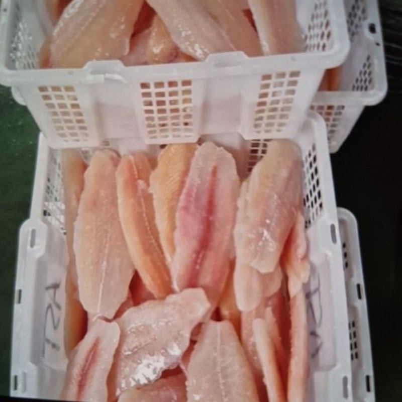 Jual Fillet Ikan Dori (Patin) 1kg | Shopee Indonesia