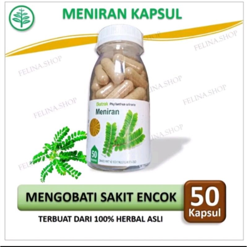 Jual Meniran kapsul ekstrak herbal imunitas hepatitis penyakit dalam ...
