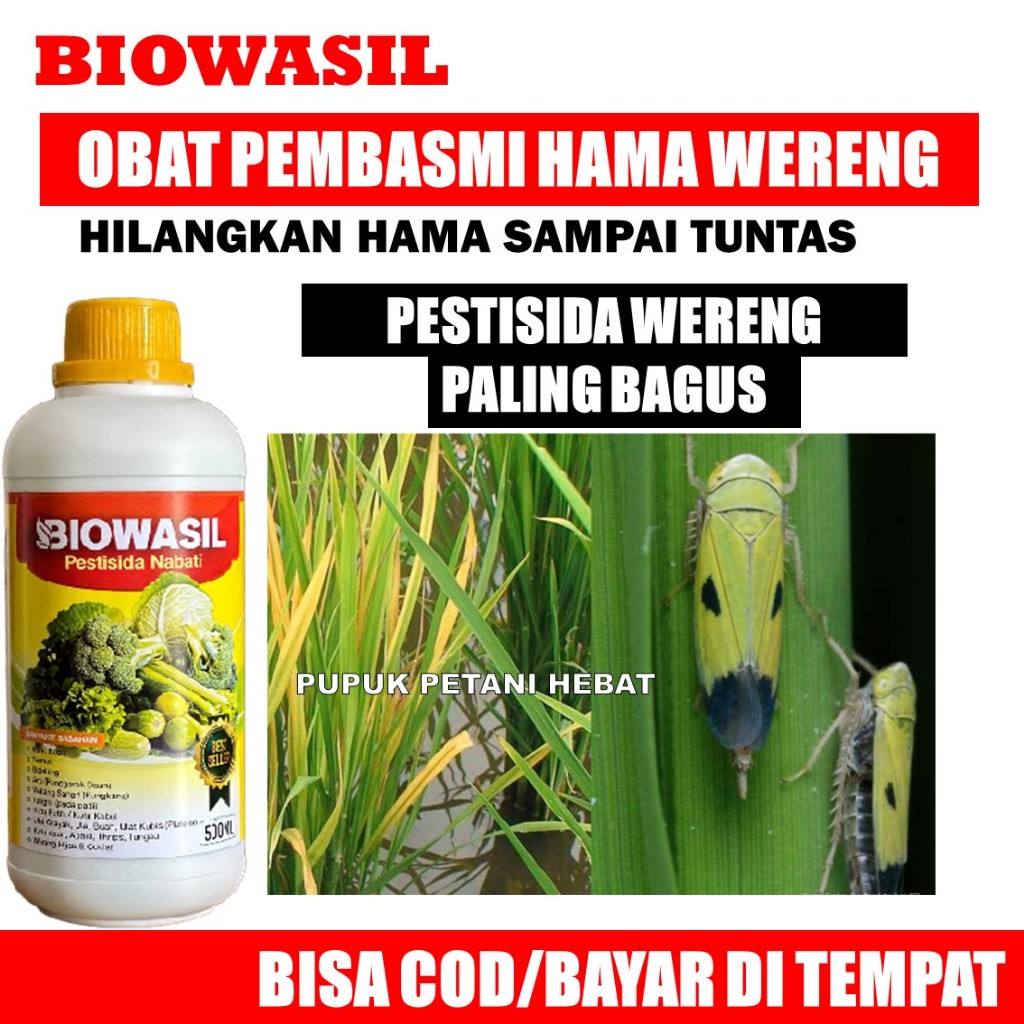 Jual BAYAR DI RUMAH BIOWASIL MEMBASMI HAMA WERENG PADI, Obat untuk ...
