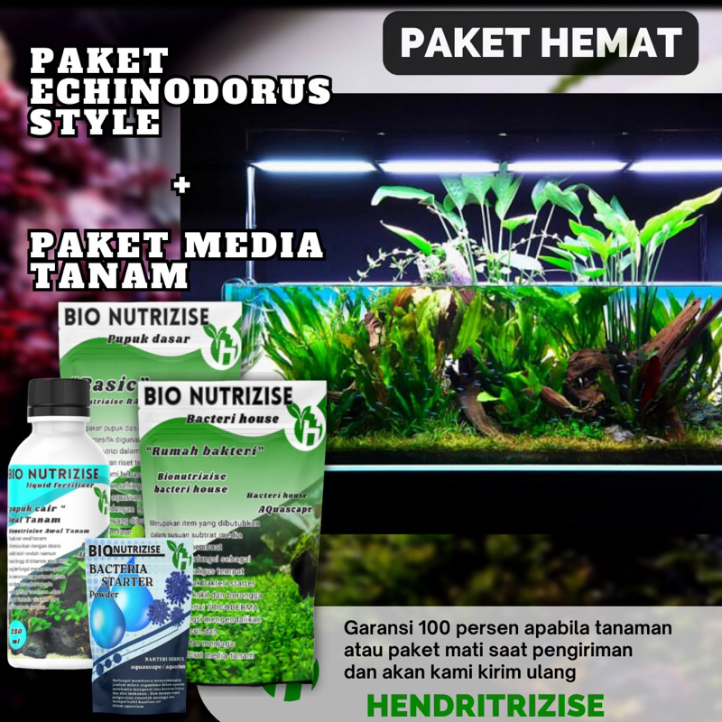 Jual Paket Tanaman Aquascape Low Co2 & Low Light - Tanaman Aquarium ...