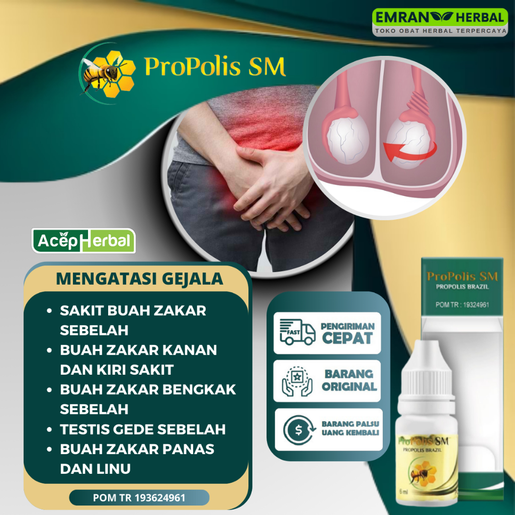 Jual Obat Sakit Buah Zakar, Buah Zakar Sakit Sebelah, Buah Zakar ...