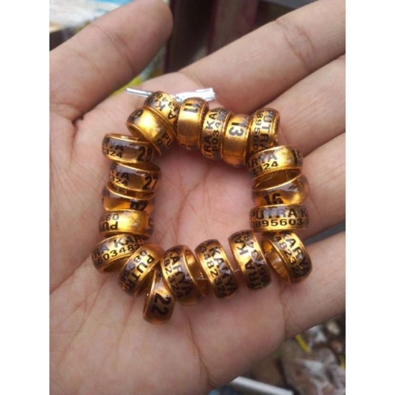 Jual RING MERPATI CUSTOM NAMA SENDIRI DONAT TRANSPARAN UNTUK MERPATI ...
